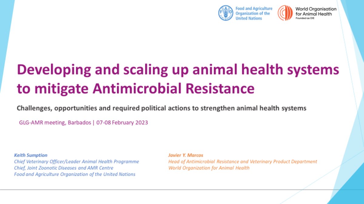Session 8, Developing and scaling up animal health systems to mitigate ...