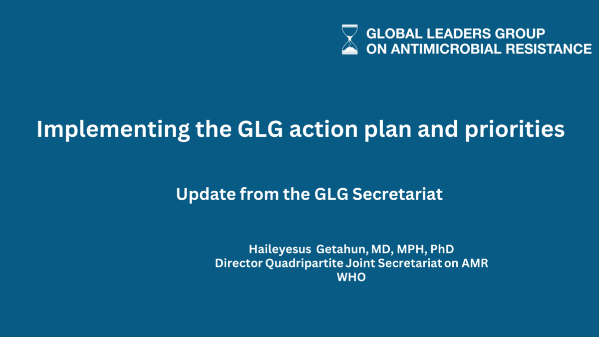 Session 1, Presentation 1, Implementing the GLG action plan and priorities
